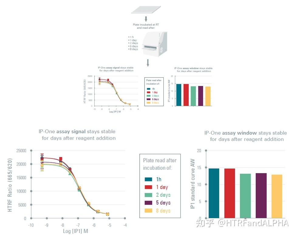 IP-One Gq kit，你值得拥有！ - 知乎