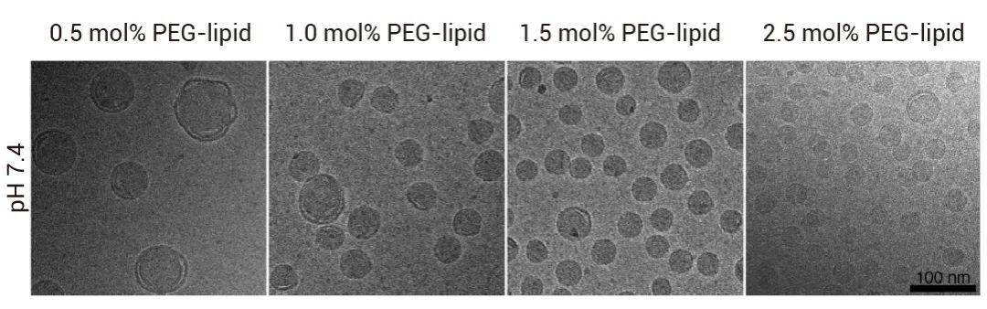 药物递送之脂质纳米颗粒 | MedChemExpress - 知乎