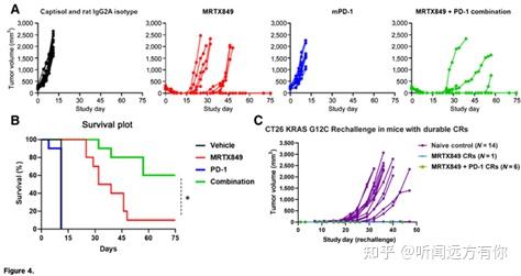 KRAS G12C抑制剂MRTX849重新调节肿瘤免疫微环境并使肿瘤对检查点抑制剂治疗敏感 - 知乎