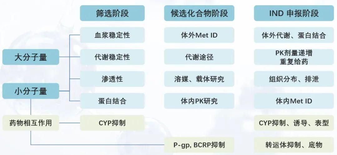 DMPK系列 | 多肽药物的药代特征、研究策略及案例分享 - 知乎