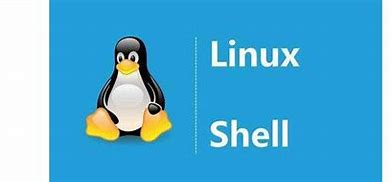 Shell语法揭秘：深入探讨常见Linux Shell之间的语法转换 - 知乎