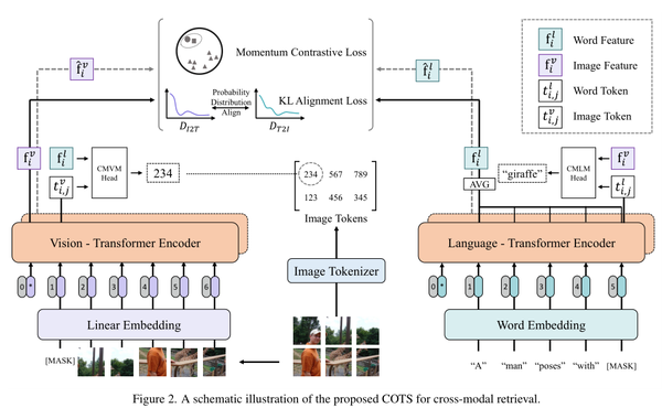 CVPR2022|比VinVL快一万倍！人大提出交互协同的双流视觉语言预训练模型COTS，又快又好！ - 知乎