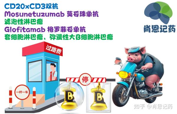 记住所有FDA生物药 | 两款CD20 x CD3双抗 | Mosunetuzumab、Glofitamab | B细胞淋巴瘤 - 知乎