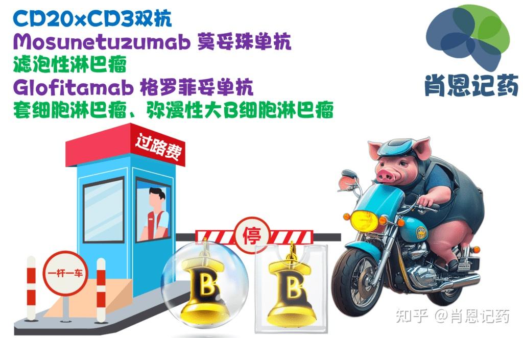 记住所有FDA生物药 | 两款CD20 x CD3双抗 | Mosunetuzumab、Glofitamab | B细胞淋巴瘤 - 知乎