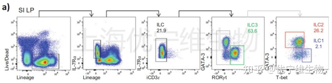 【罗工流式秘籍73】小鼠ILC细胞亚群检测指标怎么选？ - 知乎