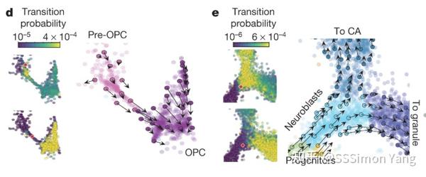 2020-011 RNA velocity of single cells - 知乎