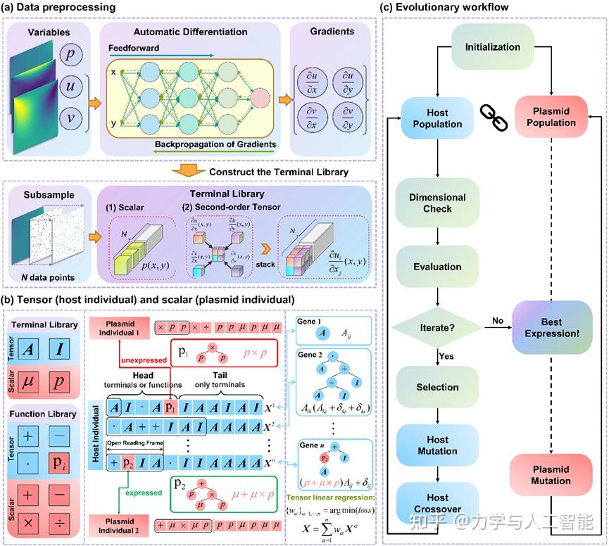 JFM | 北京航空航天大学张俊教授团队：从多维物理场数据中发现张量方程 - 知乎