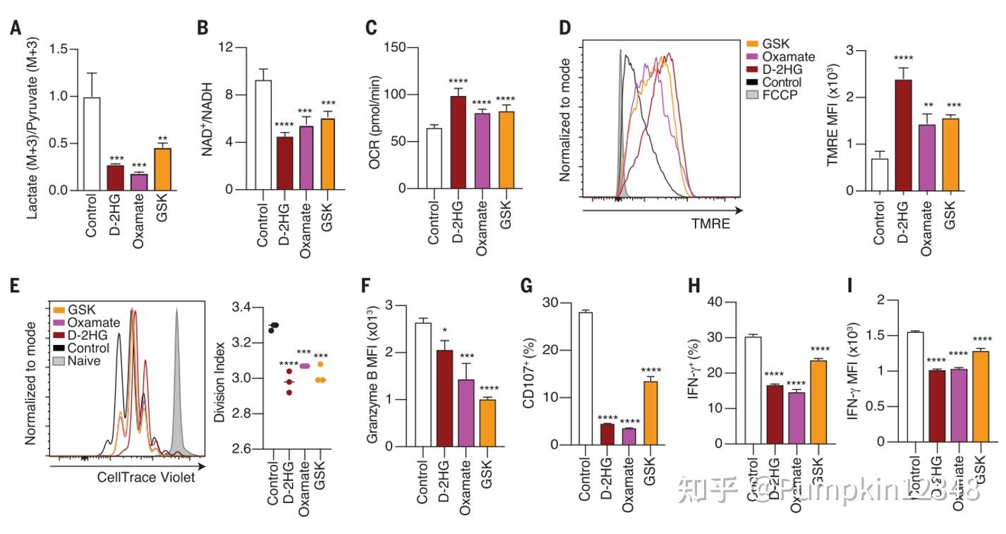 文献阅读：肿瘤代谢物D-2HG改变了CD8+T细胞的代谢途径，进而影响了其效应功能 - 知乎