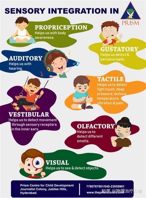 感觉运动整合（SENSORIMOTOR INTEGRATION） - 知乎