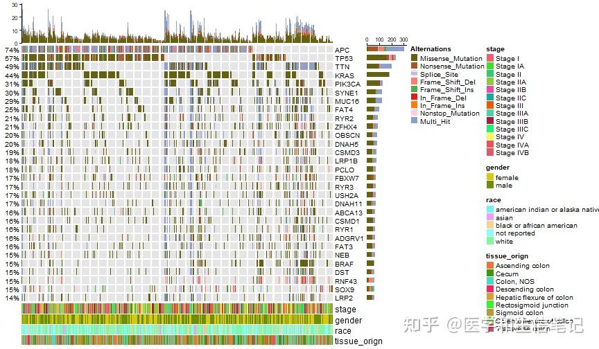 complexheatmap绘制TCGA的MAF突变全景图 - 知乎