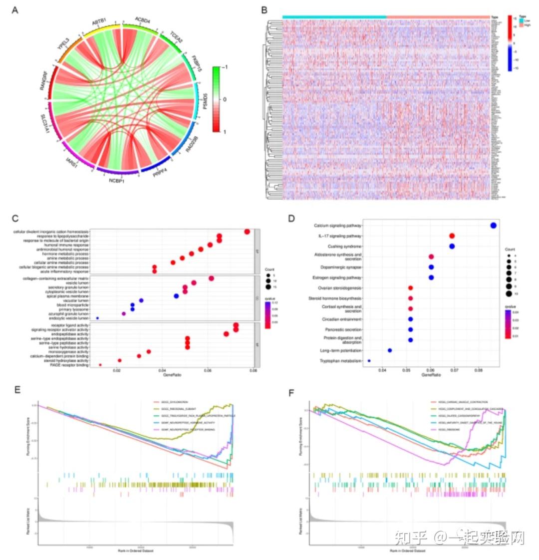 铜死亡热点：单基因肿瘤纯生信分析发表BMC bioinformatics！ - 知乎