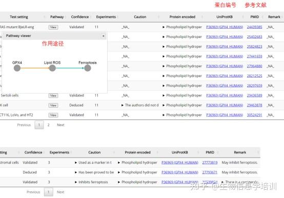 FerrDb — 铁死亡研究分析利器！ - 知乎