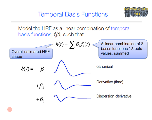 【fMRI Note】Module18 一般线性模型构建2 用线性基组进行灵活的血液动力学建模 - 知乎