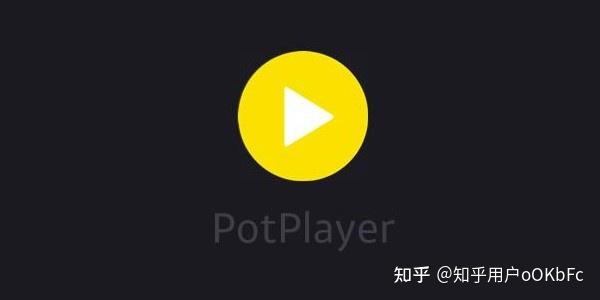 PotPlayer｜这才是本地播放器的终极形态！4K/HDR/Dolby全通吃！ - 知乎