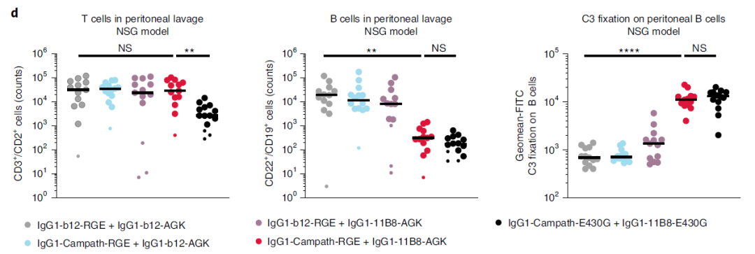 驾驭抗体的Avidity - 知乎