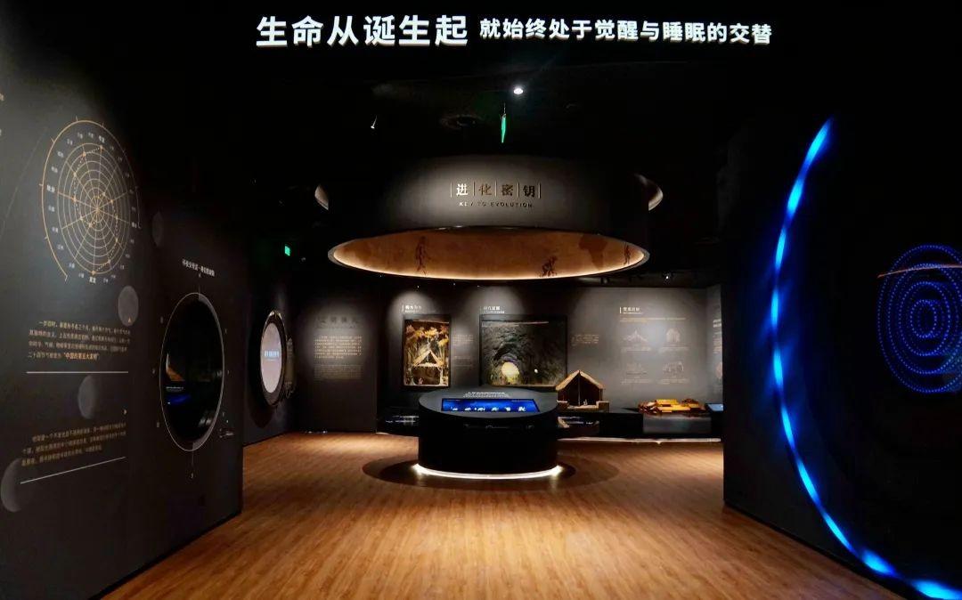 慕思睡眠博物馆（筹）：探寻中国睡眠文化的瑰宝与科学之旅 - 知乎
