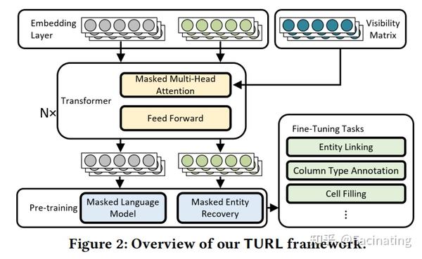 Table Pre-training（四）TURL（下） - 知乎