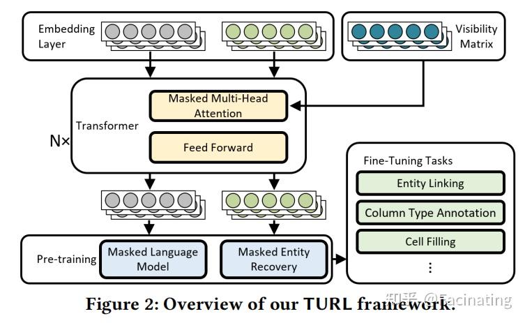 Table Pre-training（四）TURL（下） - 知乎