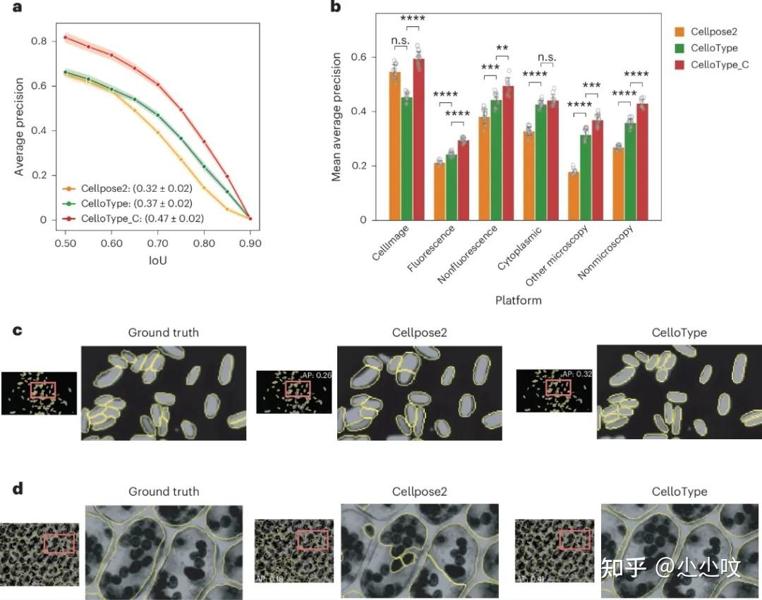 Nat Methods | CelloType：用于组织图像分割和分类的统一模型 - 知乎