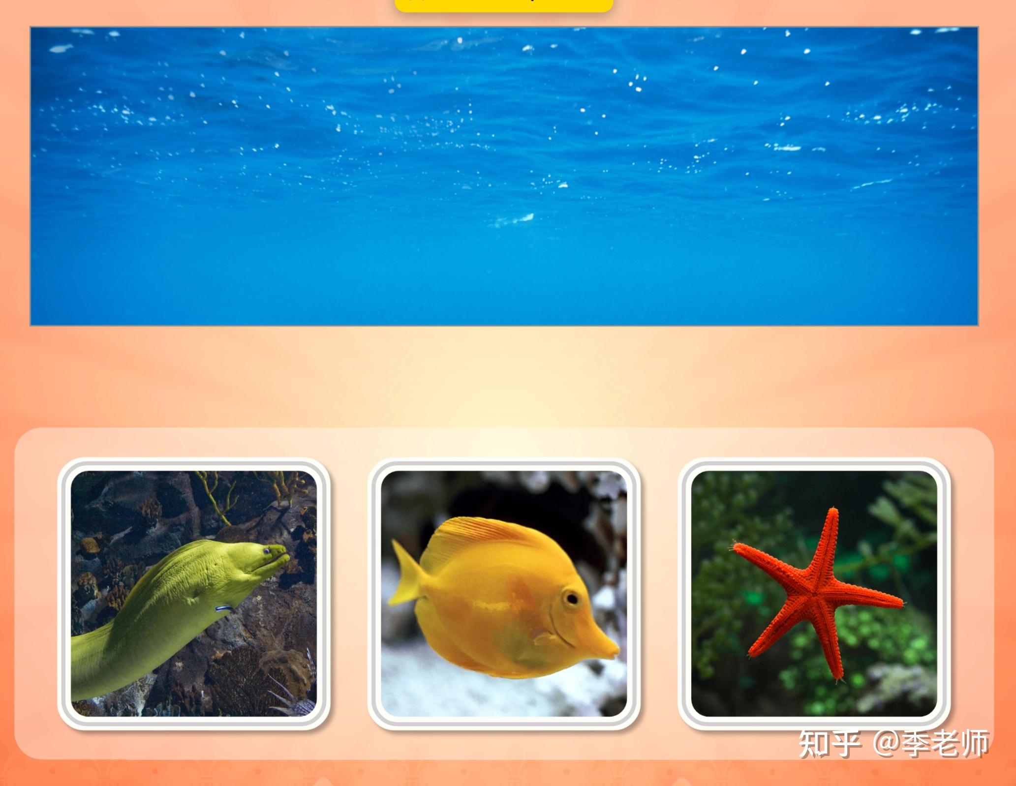 什么是Lexia英语非母语(ESL 或者EEL)对话学习版？最适合中国娃的自主学习软件 - 知乎