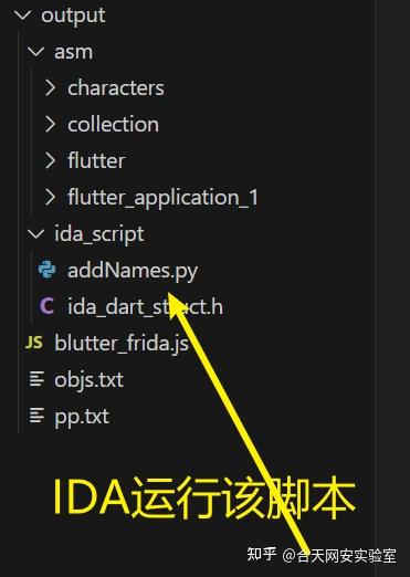 【flutter对抗】blutter使用+ACTF习题 - 知乎