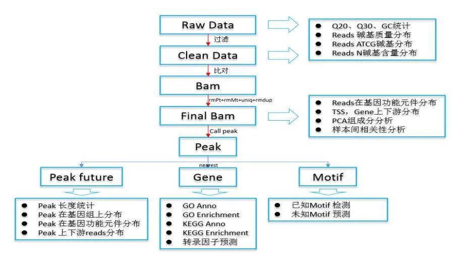 一文了解CUT&Tag技术 - 知乎