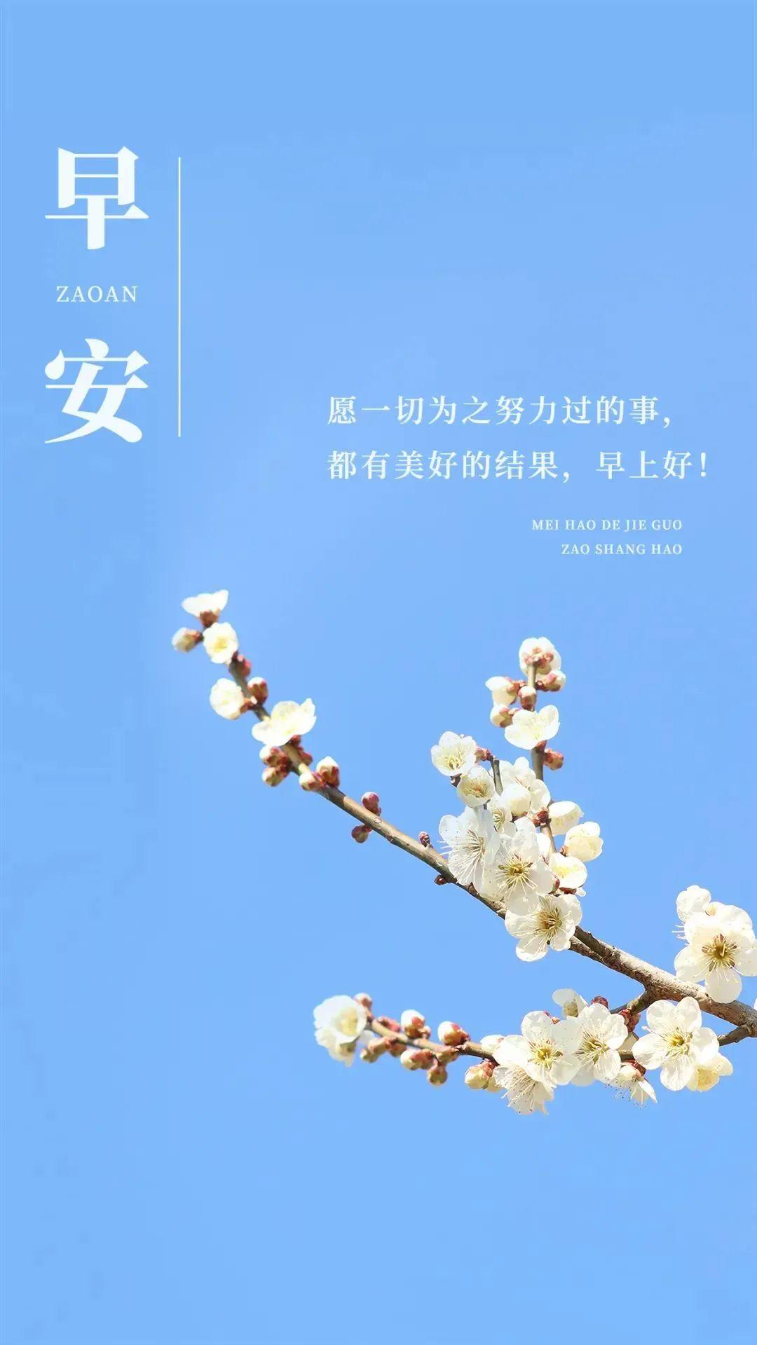 早安朋友圈超赞文案：开启幸福美好的一天 知乎