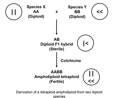 染色体（续）：突变 - 知乎