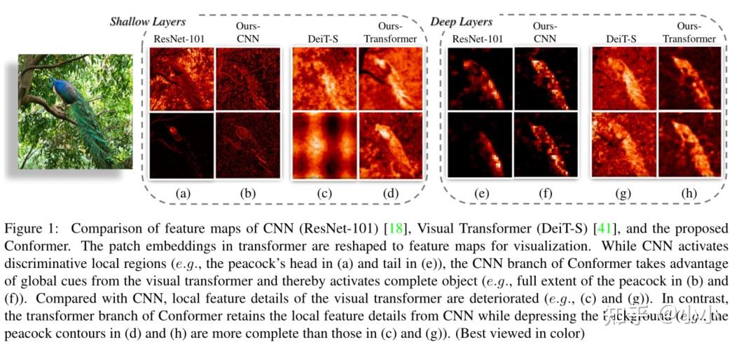 Hybrid（三）Conformer - 知乎