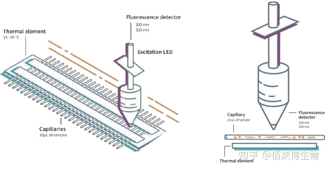 nanoDSF蛋白质稳定性分析实验服务 - 知乎