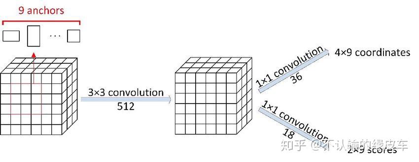 详解Region Proposal Network - 知乎
