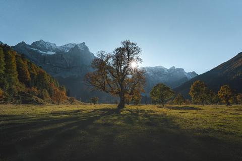 如何评价2024年MathorCup C题？? - 知乎