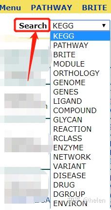 保姆级KEGG数据库教程！医学人如何入门KEGG？信号通路分析必学功能有哪些？不需要掌握的有哪些？