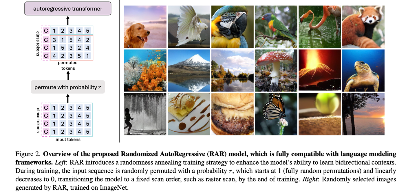 [大模型 24] 随机顺序解码的图像生成：RandAR 和 RAR 两篇新论文 - 知乎
