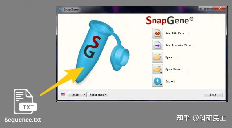 SnapGene 安装教程+使用教程（附安装包） - 知乎