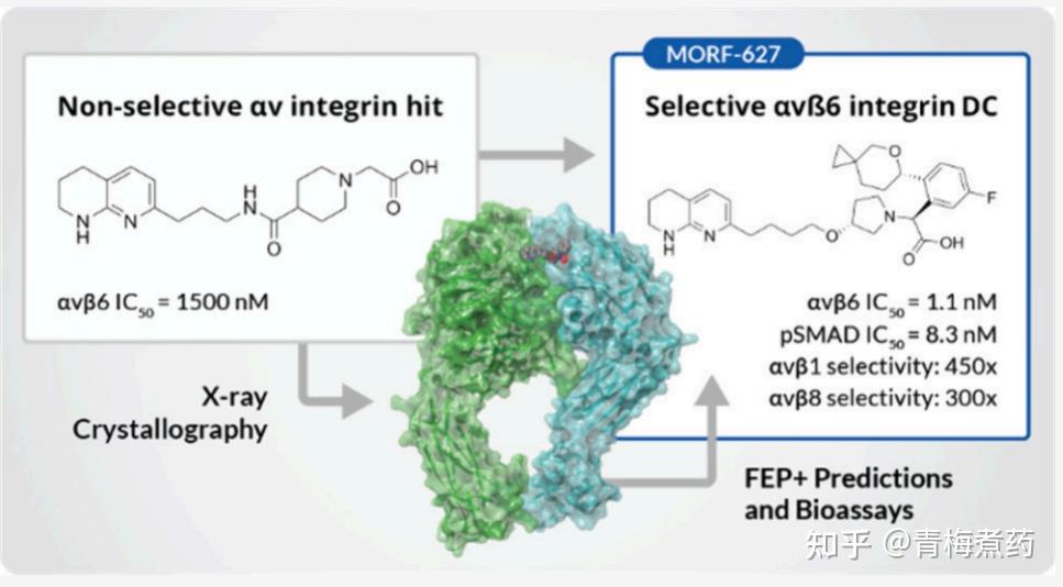 JMC|MORF-627的发现：一种高度选择性的构象偏倚的两性离子整合素αvβ6抑制剂用于纤维化疾病的研究 - 知乎