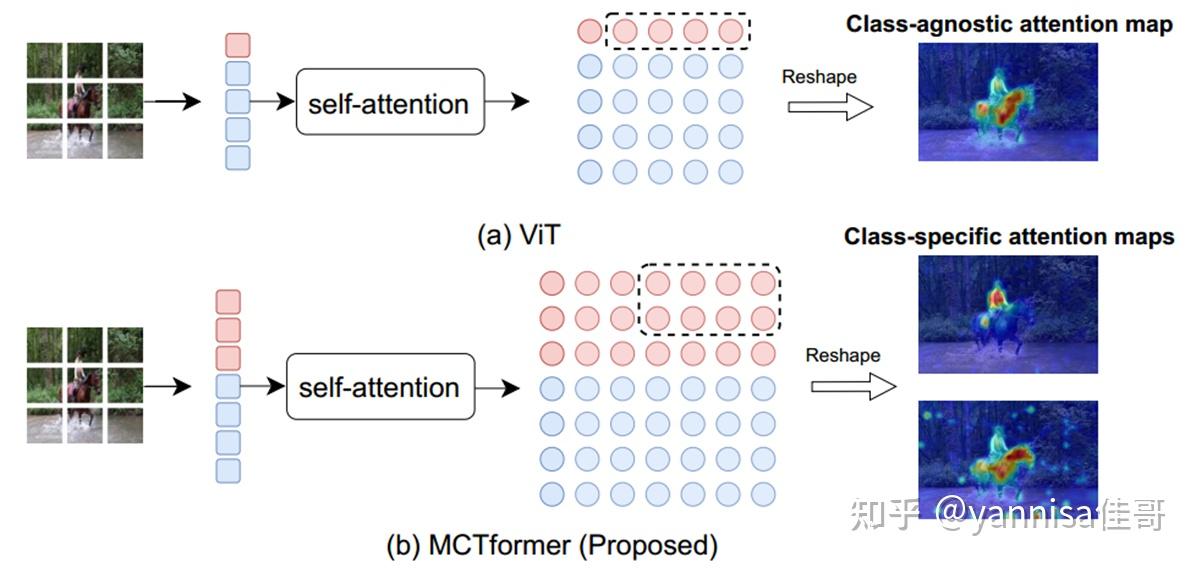 Mctformer Multi Class Token Transformer For Weakly Supervised Semantic Segmentation Cvpr2022 知乎