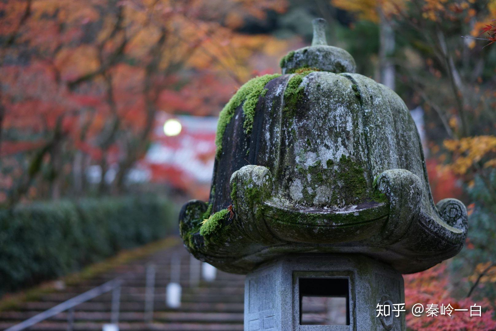 鉴真：六次东渡日本的唐朝和尚，你不知道他一生的磨难有多大！ - 知乎