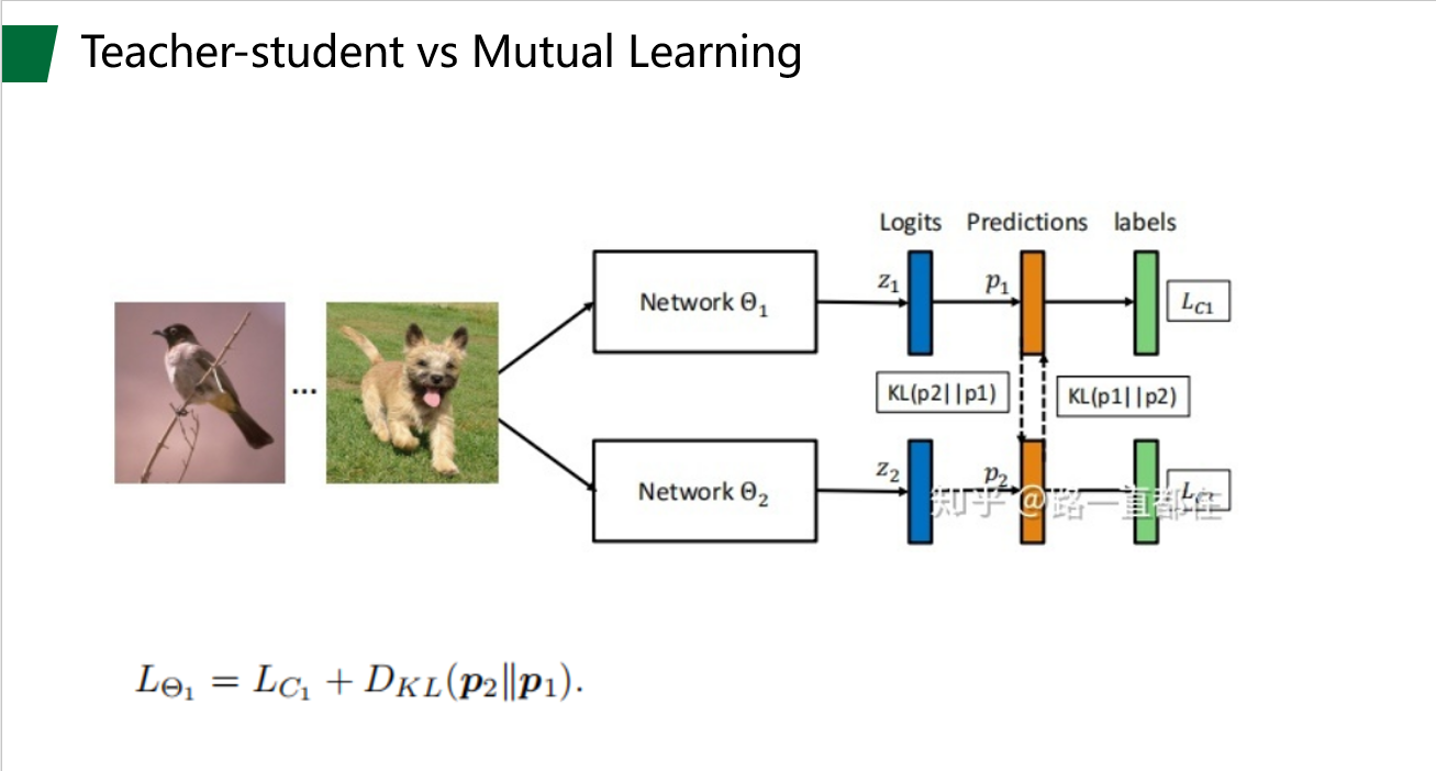 Binocular Mutual Learning for Improving Few-shot Classification - 知乎