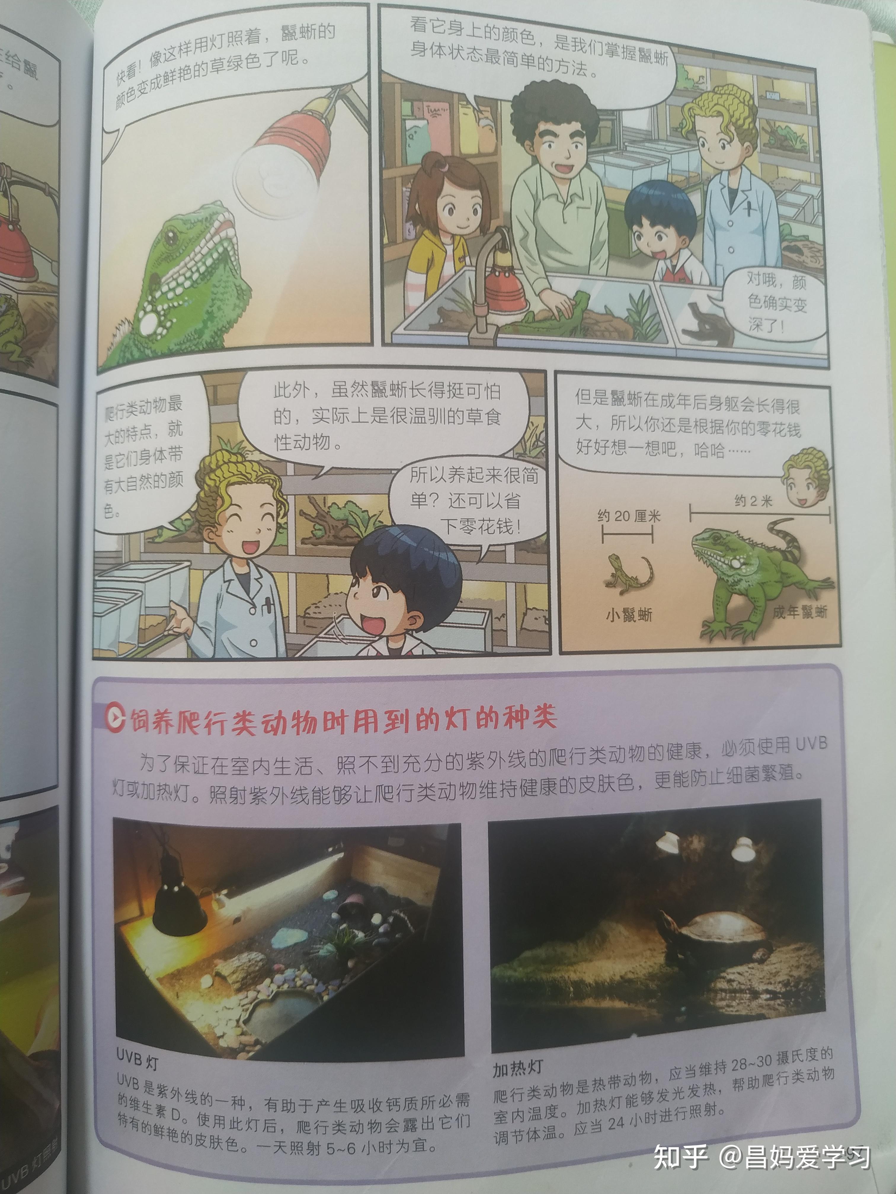 7到9岁低年级小学生必读的经典儿童书籍（含科普书籍、漫画、短小说）