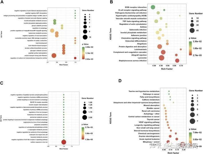 6+ hub基因加ceRNA网络 - 知乎