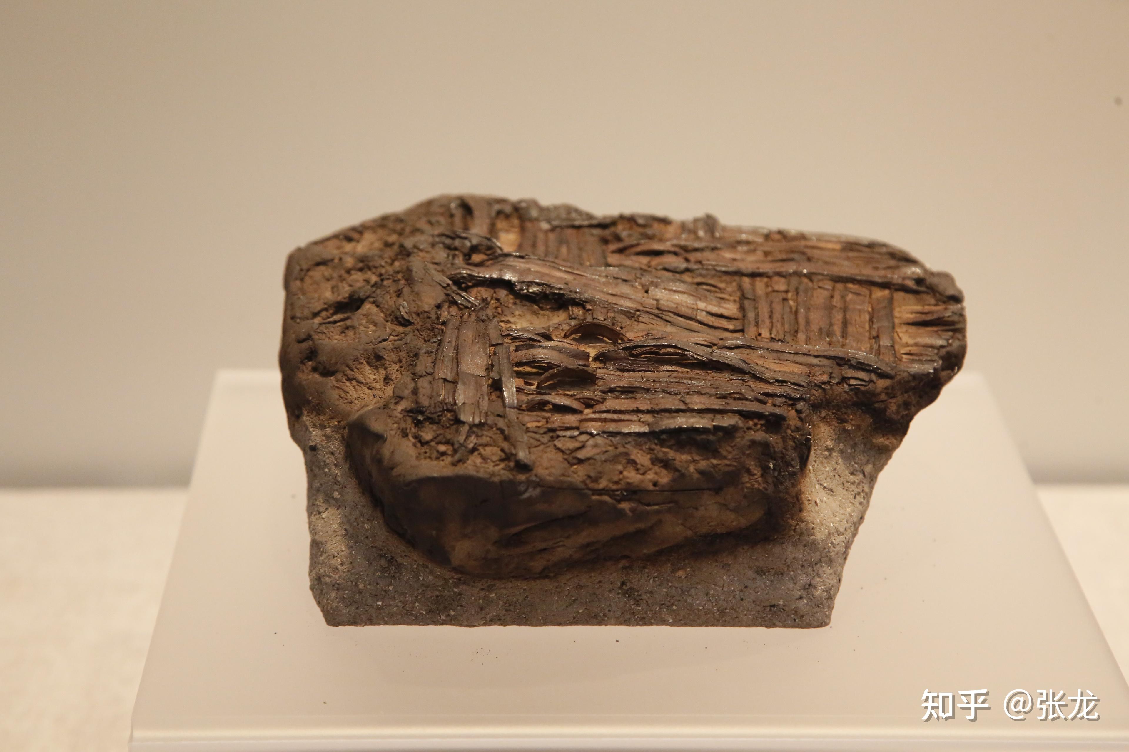 逛博丨参观杭州良渚博物馆及其攻略 - 知乎