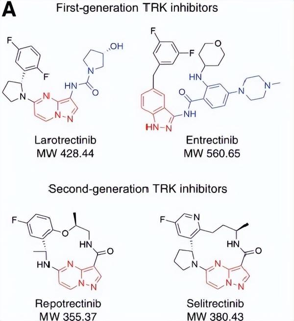罕见但广谱的靶点-NTRK - 知乎