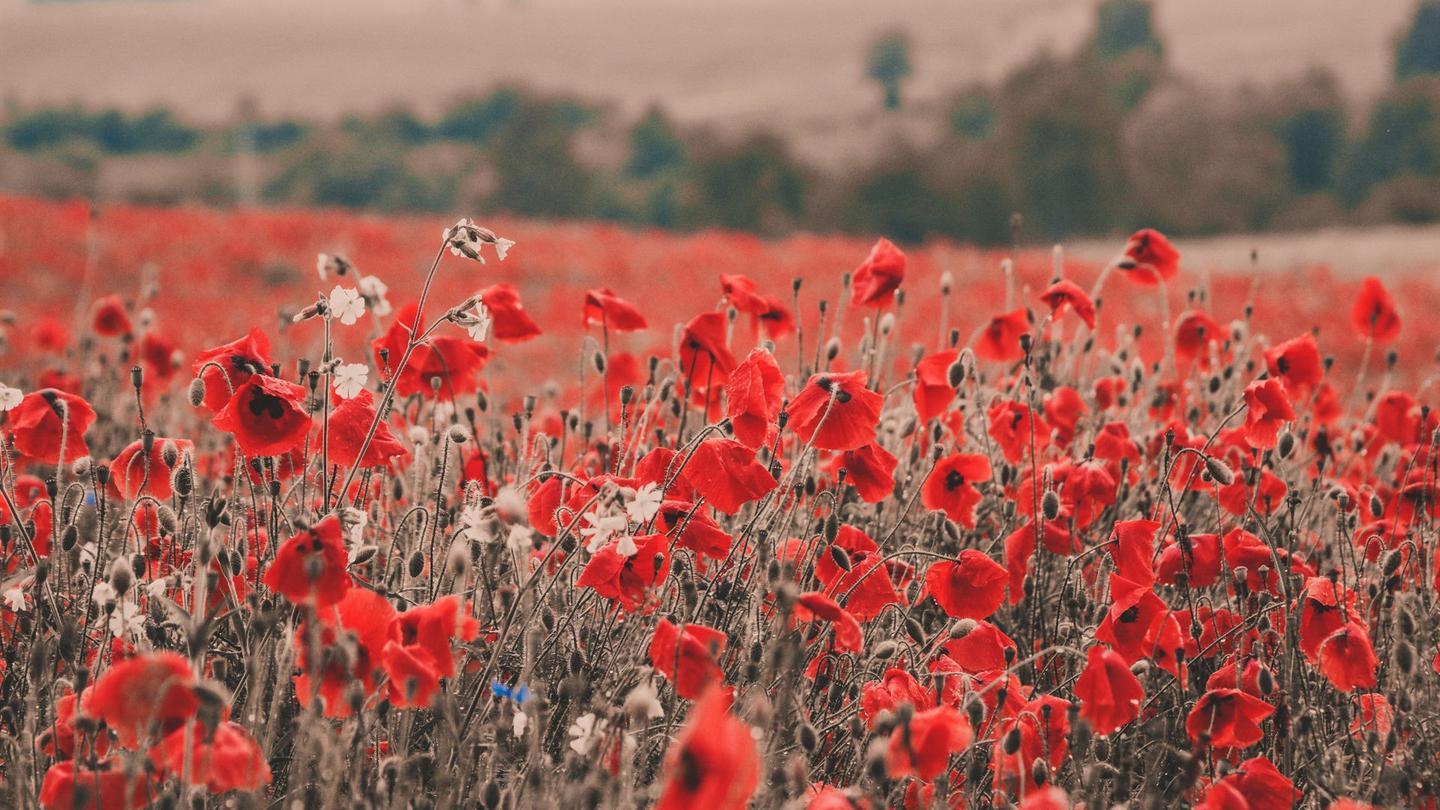 分享一些珍藏多年的高清4K壁纸 - 知乎