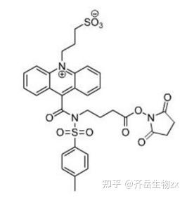 吖啶酯（NSP-SA-NHS）发光标记物Cas199293-83-9 - 知乎