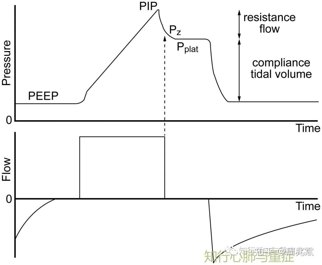 第142期 呼吸力学-从基础到临床 - 知乎