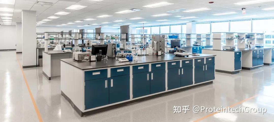 为什么都选GMP级别？这一篇全部告诉你~ - 知乎