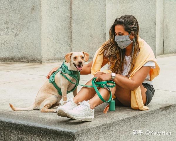 DTC宠物品牌Wild One是如何打造愉悦的爱宠体验的？ - 知乎