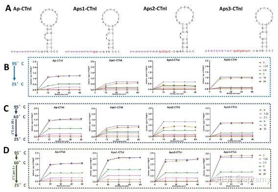 Nanoscale：完全替代抗体？精准检测临床CTnI 的新型修饰适配体纸质传感器 - 知乎