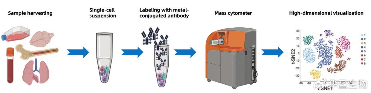 CyTOF单细胞质谱流式 - 知乎